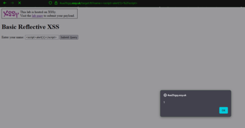 Beginner’s Guide to XSS Attacks (Part 1)