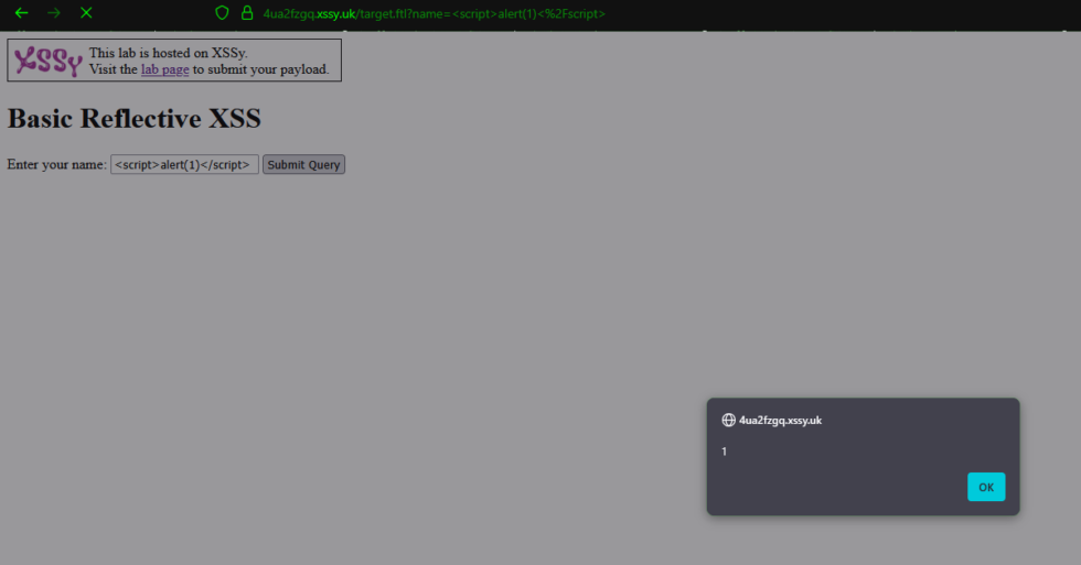 Beginner’s Guide to XSS Attacks (Part 1)