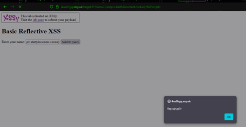 Beginner’s Guide to XSS Attacks (Part 1)